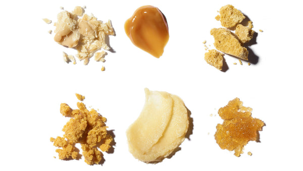 Wax On Wax! What's The Difference In Concentrates? - OG NATION